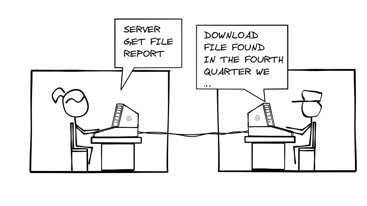 Computer Networks From Scratch